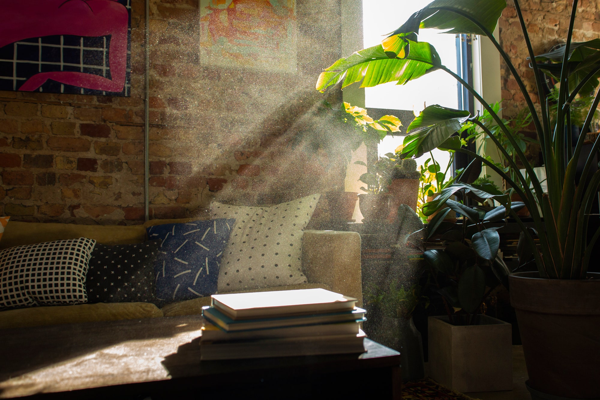 Ways to create fresh air inside the house – English-BanglaNewsUs